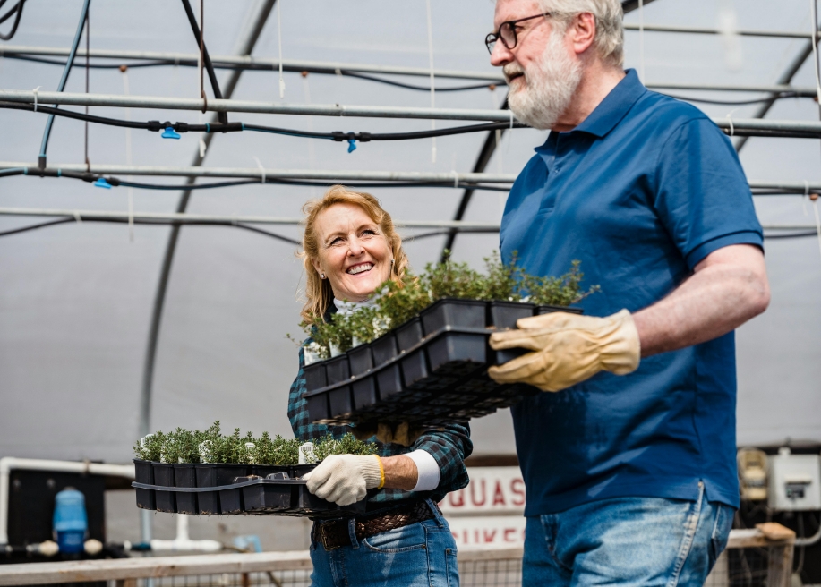 Agriculture - Aston Shaw